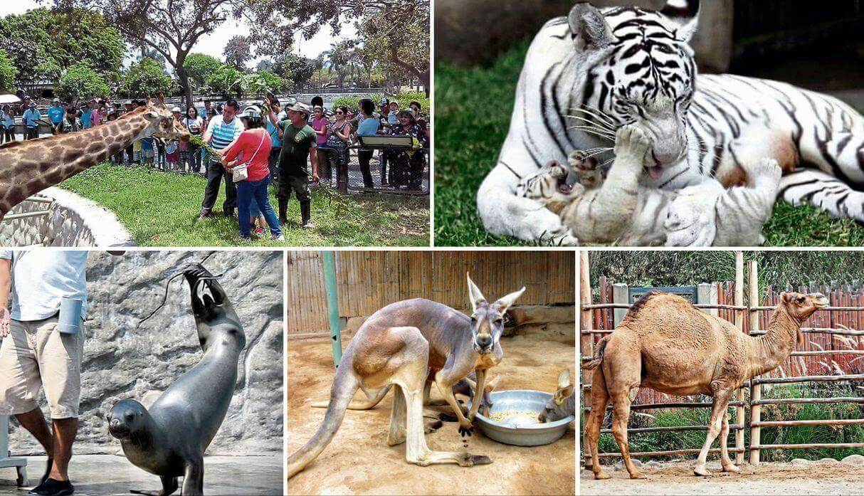10 Lugares y sitios para pasar un buen fin de semana en Lima