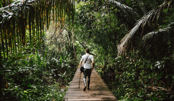 10 lugares turísticos que debes visitar en la selva del Perú - MOTT Social